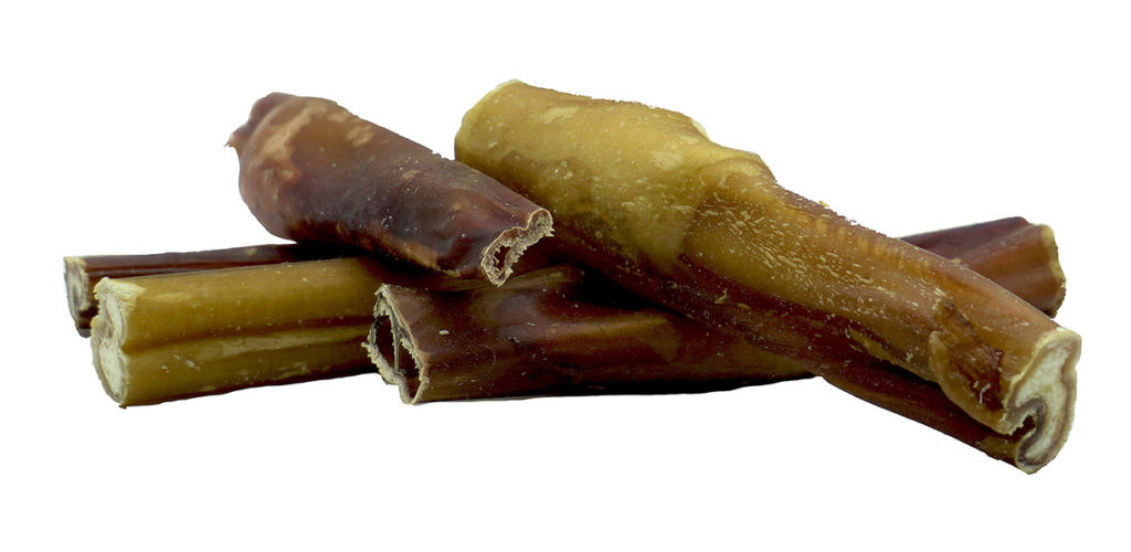 Beef Pizzle 12cm Standard 1 x 50 - DobbyMan